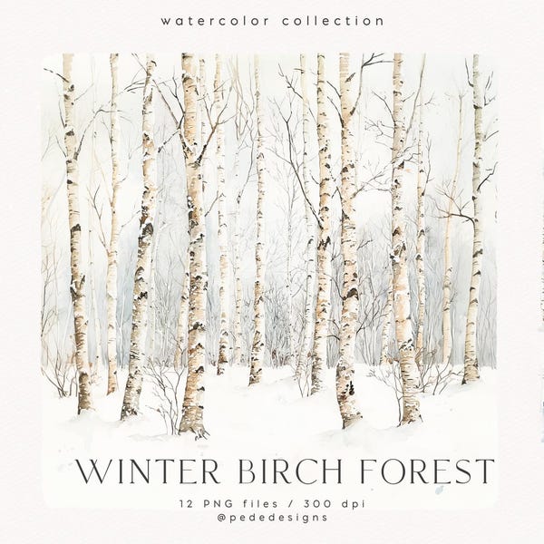 Birch Forest - Etsy