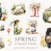 Spring Collection, Watercolor Spring Clipart, Spring Graphics, Spring ...