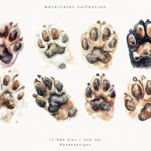 Dog's Paw Illustration, Watercolor Puppy Clipart, Dogs Paw Graphics ...