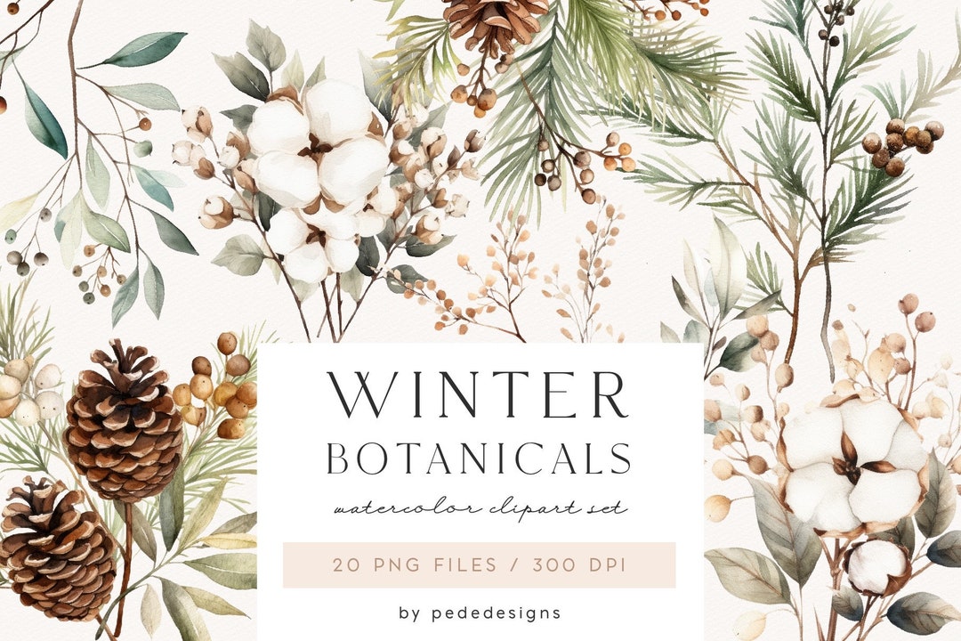Winter Botanicals, Watercolor Winter Clipart, Winter Floral Cliparts, Christmas Time, Planner ...