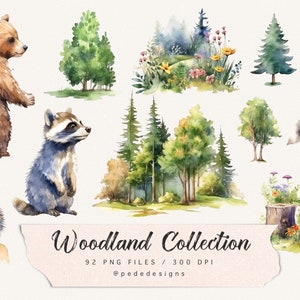 Watercolor Woodland Clip Art, Woodland Animals, Forest Animals, Nursery ...