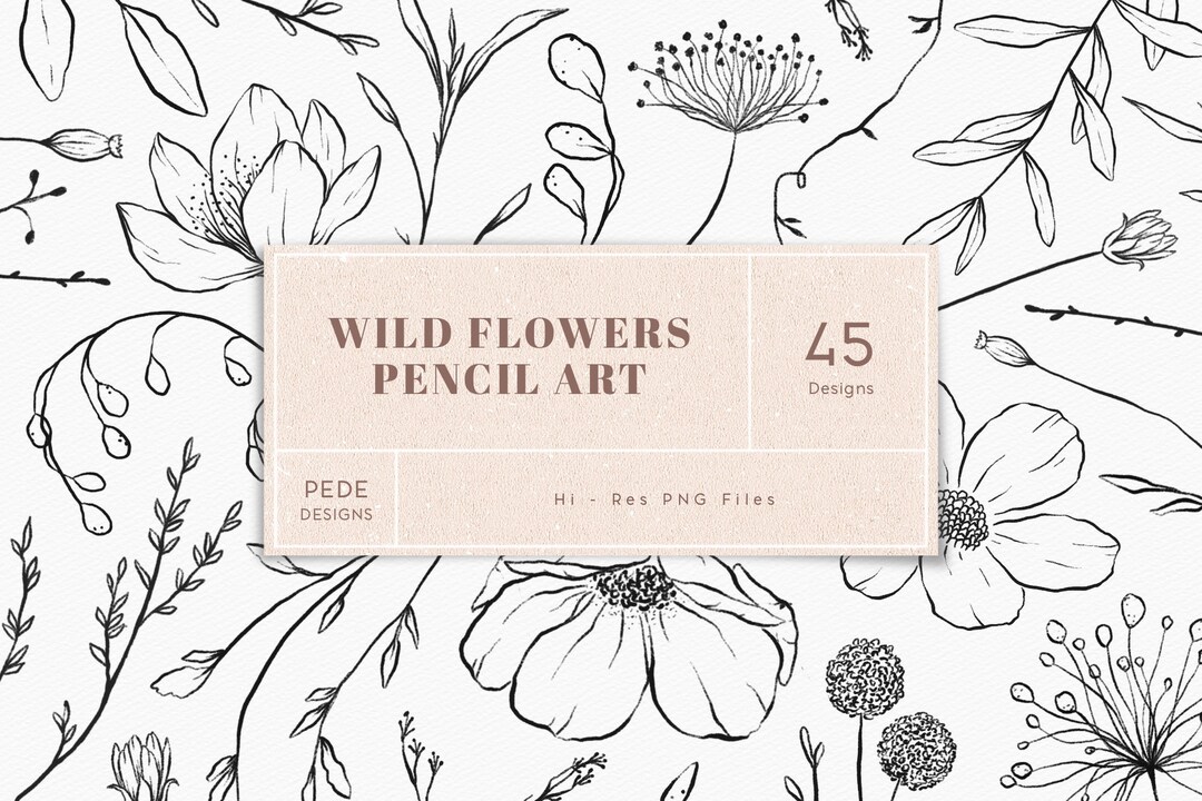 Wild Flowers Illustrations, Meadow Clip Art, Hand Drawn Flowers Clipart ...