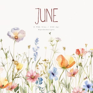 June, Summer Wildflowers, Watercolor Wild Floral Border, Watercolor ...