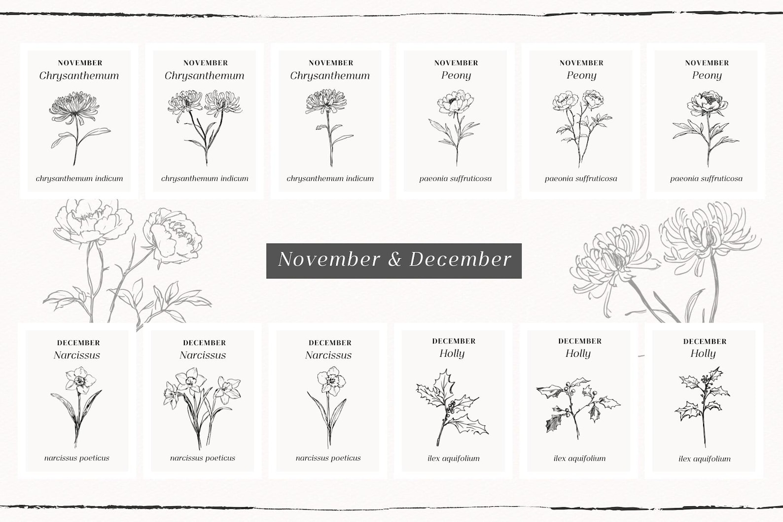 Birthday Flowers, Brush Line Art, Birth Flowers, Vector Files, Png ...