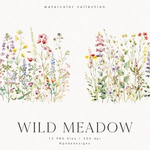 Wild Meadow, Watercolor Meadow Clipart, Watercolor Wild Floral, Floral ...