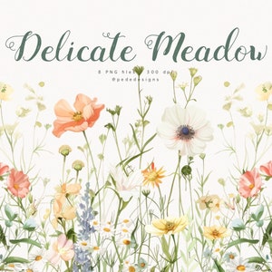 Delicate Meadow, Watercolor Wild Flowers Clipart, Watercolor Floral ...