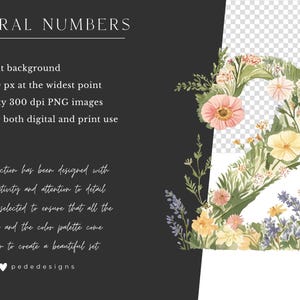 Floral Numbers Clipart Set, Spring Clipart, Party, Celebration ...