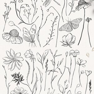 Wild Flowers Collection, Meadow Clip Art, Hand Drawn Flowers Clipart ...