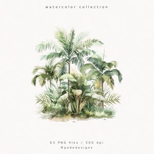 Tropical Plants, Watercolor Clipart, Palm Tree, Tropical Elements ...