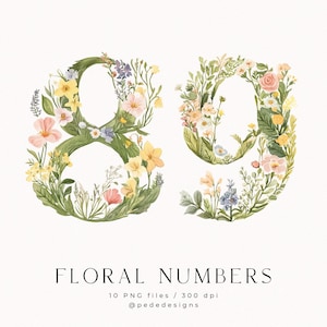 Floral Numbers Clipart Set, Spring Clipart, Party, Celebration ...