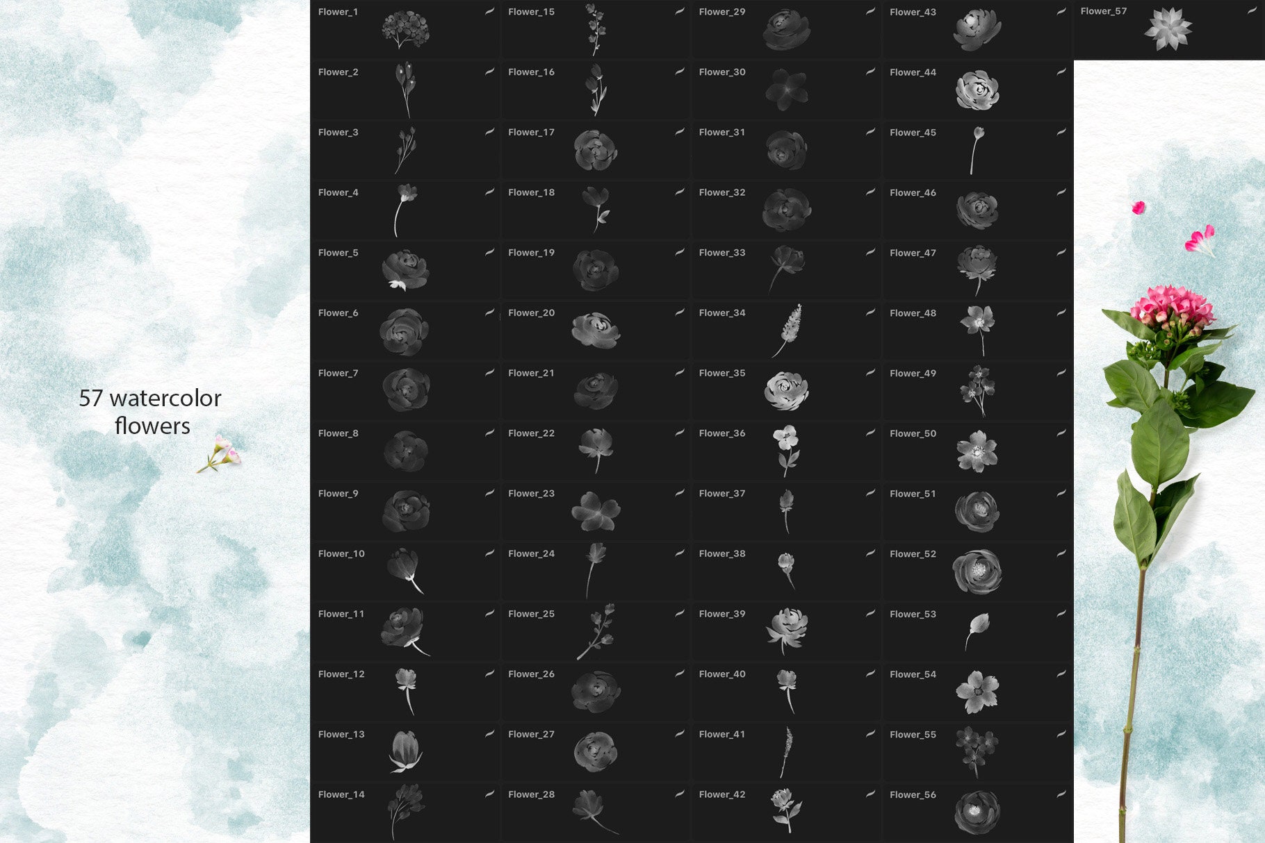 307 Watercolor Brushes for Procreate, Stamp Brushes, Procreate Set ...