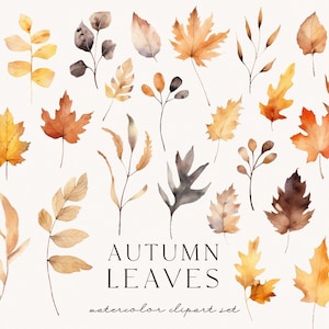Autumn Leaves, Watercolor Autumn Clip Art, Fall Leaves, Autumn Leaf ...