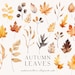 Autumn Leaves, Watercolor Autumn Clip Art, Fall Leaves, Autumn Leaf ...