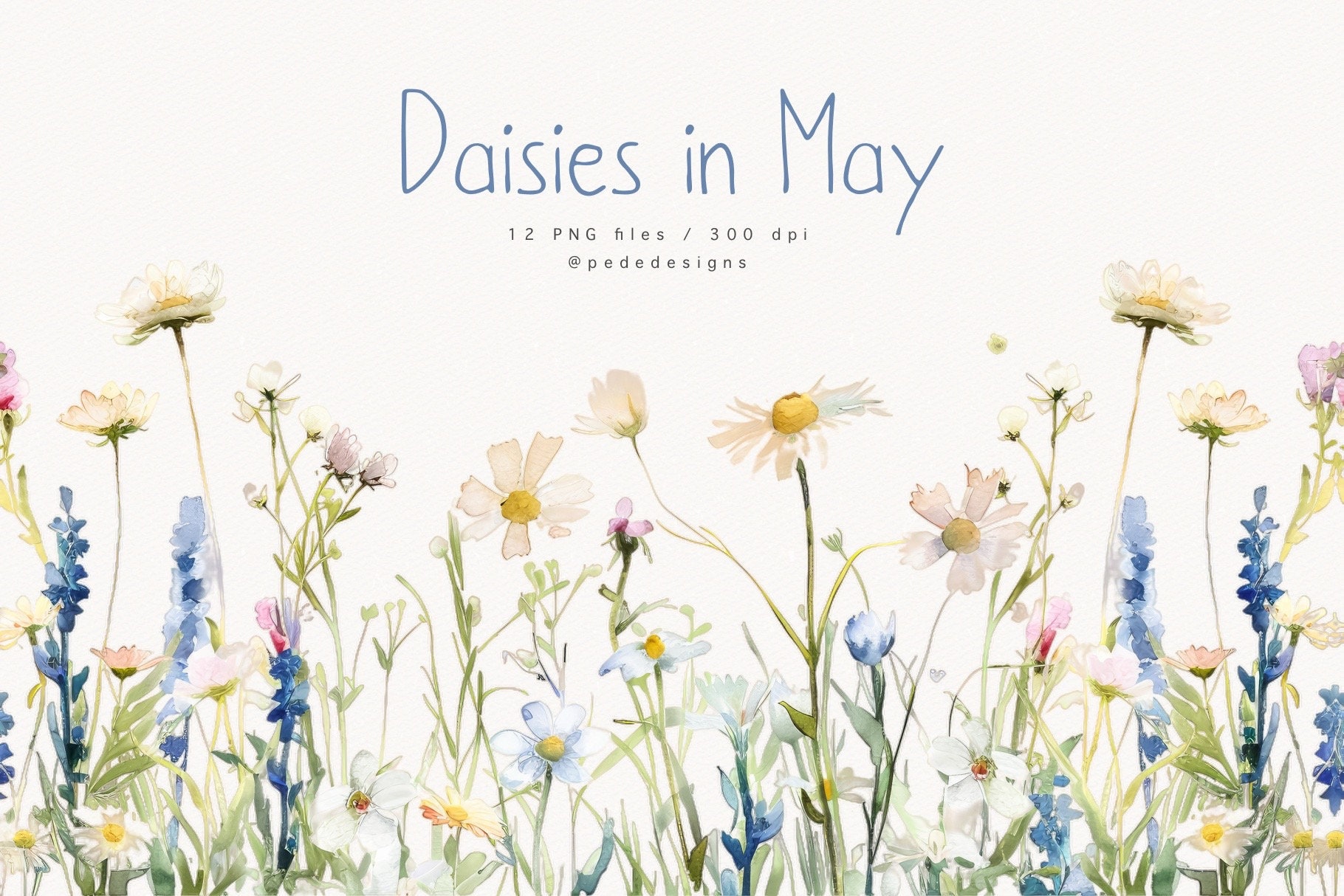 Watercolor Wildflower Clipart: Daisy Meadow Border (digital Download ...