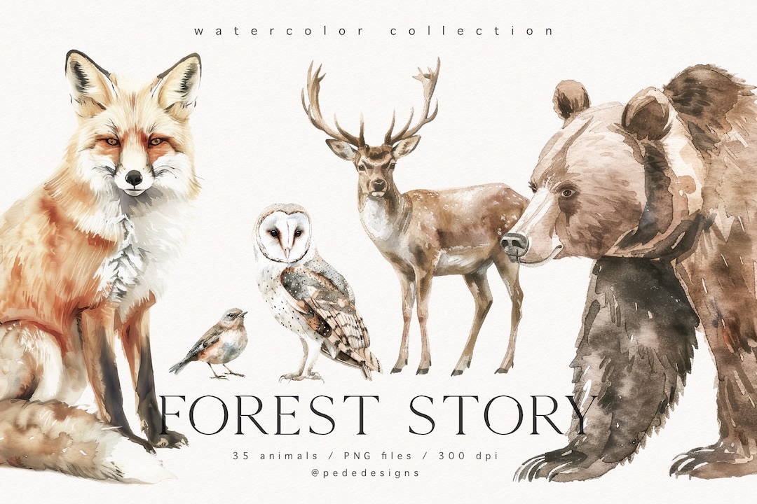 Watercolor Forest Animals - Forest Story Collection, Woodland Graphics ...