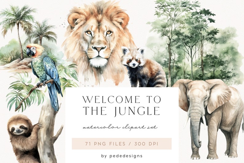 Watercolor Jungle Clipart: Tropical Animals & Plants (PNG Download) - Etsy