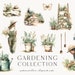 Gardening Collection, Watercolor Garden Plants, Spring Garden Graphics ...