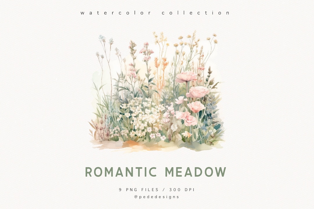 Romantic Meadow, Watercolor Wild Flowers Clipart, Watercolor Meadow ...