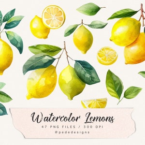 Watercolor Lemon Clip Art, Citrus Clipart, Lemons Illustration, Summer ...