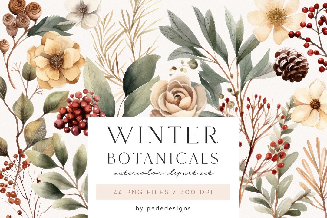 Winter Botanicals, Watercolor Clipart, Winter Flowers, Leaves and ...