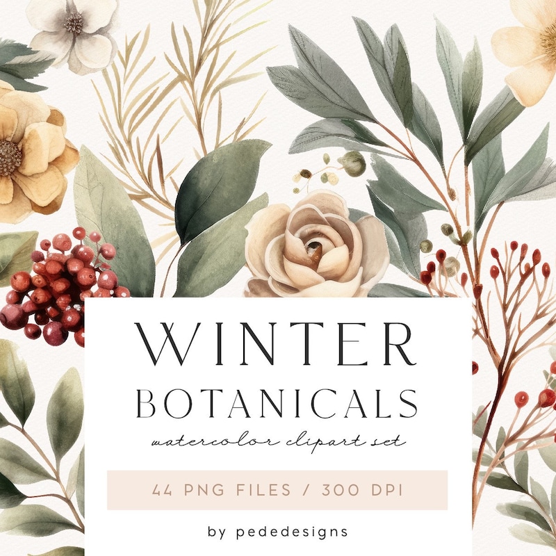 Winter Greenery Clipart - Etsy