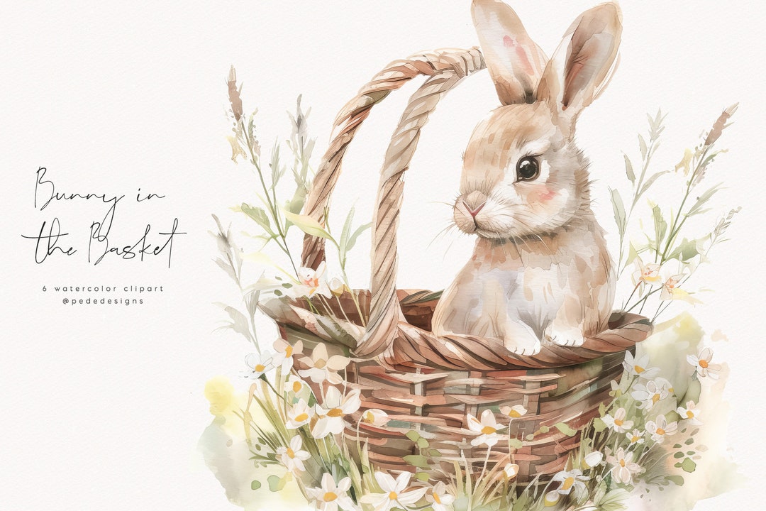 Bunny in the Basket Clipart, Watercolor Bunny, Spring Png Graphics ...