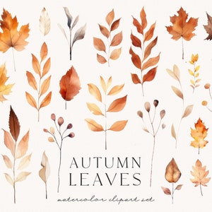 Autumn Leaves, Watercolor Autumn Clip Art, Fall Leaves, Autumn Leaf ...