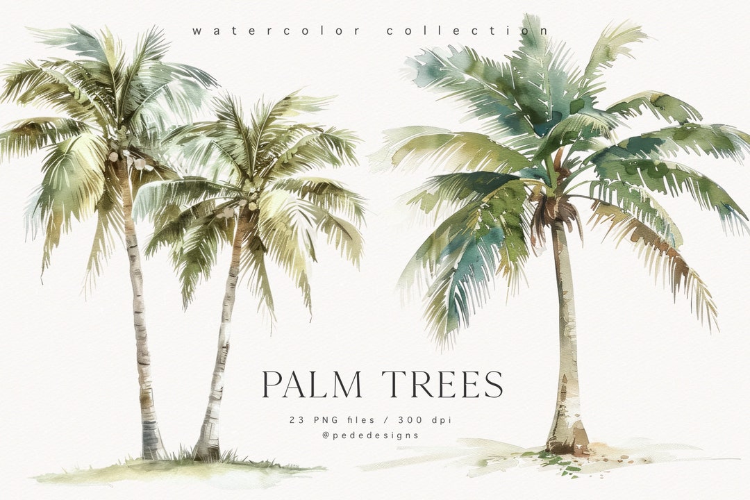 Watercolor Palm Trees, Watercolor Clip Art, Exotic Clipart, Tropical ...