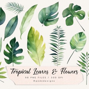 Tropical Leaves & Flowers, Watercolor Clip Art, Exotic Clipart ...