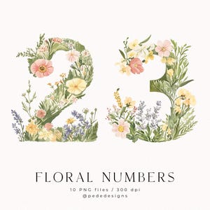 Floral Numbers Clipart Set, Spring Clipart, Party, Celebration ...
