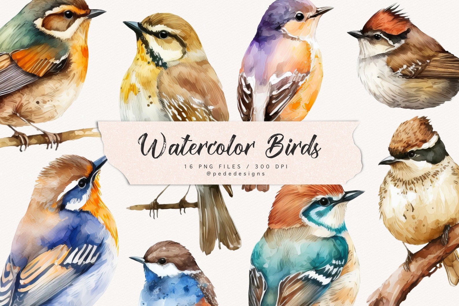 Watercolor Birds Clip Art, Tiny Colorful Birds Clipart, Bird Png ...