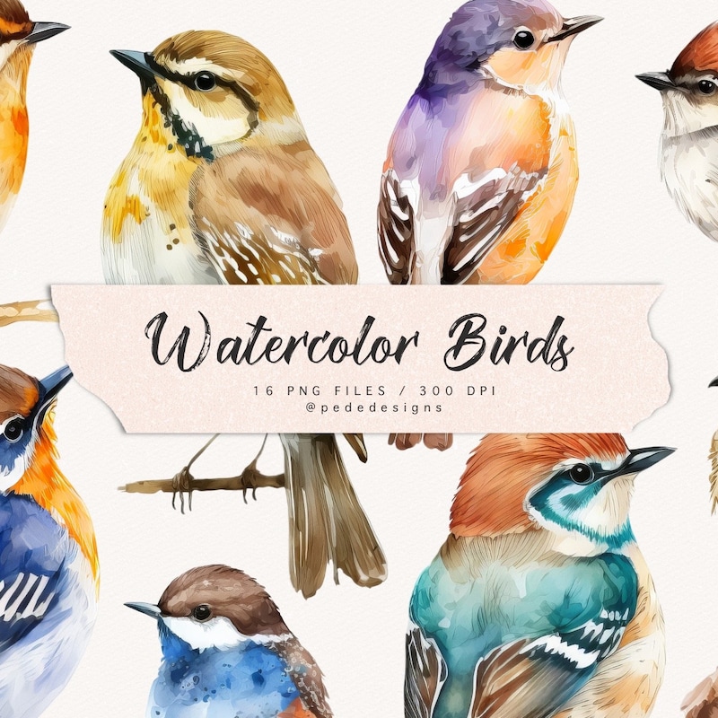 Bird Watercolor - Etsy