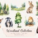 Watercolor Woodland Clip Art, Woodland Animals, Forest Animals, Nursery ...