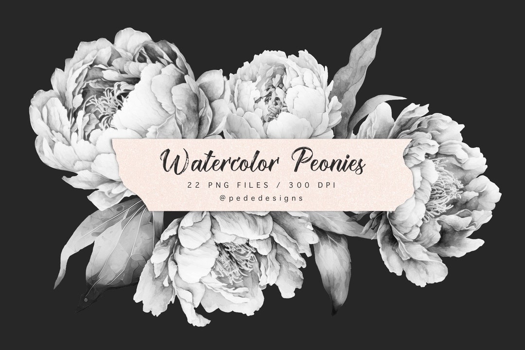 Watercolor Peonies Clip Art Pack, Floral Clipart, Watercolor Peony ...