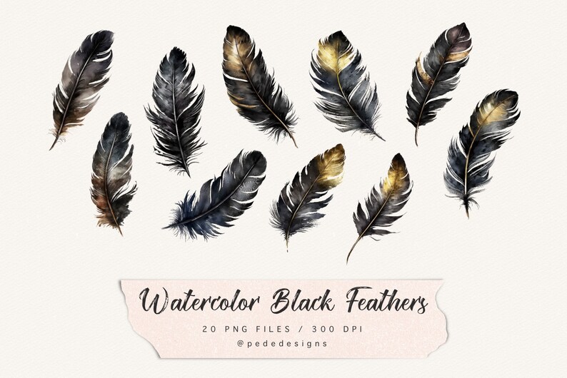 Watercolor Black Feathers Clip Art Feathers With Gold - Etsy