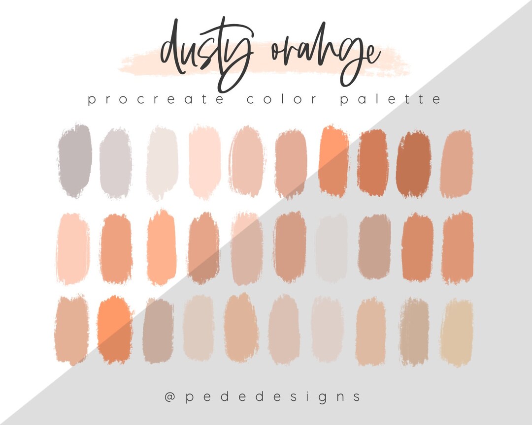 Dusty Orange Procreate Color Palette Color Swatches Ipad - Etsy
