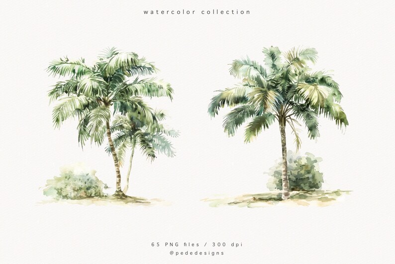 Tropical Plants, Watercolor Clipart, Palm Tree, Tropical Elements ...