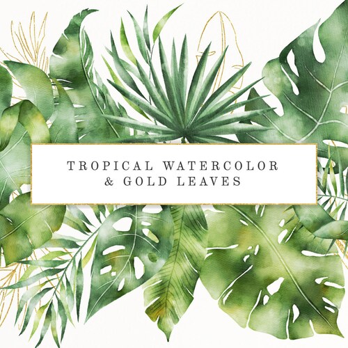 Watercolor Leaves Clipart Tropical Leaves Clip Art Exotic - Etsy