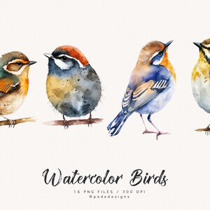 Watercolor Birds Clip Art, Tiny Colorful Birds Clipart, Bird Png ...