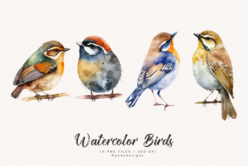 Watercolor Birds Clip Art Tiny Colorful Birds Clipart Bird - Etsy