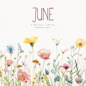 June, Summer Wildflowers, Watercolor Wild Floral Border, Watercolor ...