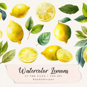 Watercolor Lemon Clip Art, Citrus Clipart, Lemons Illustration, Summer ...