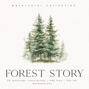 Watercolor Landscape Illustrations - Forest Story Collection, Woodland ...