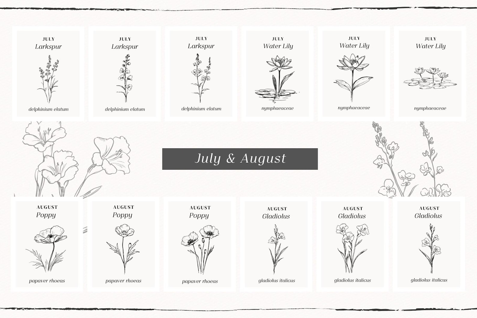 Birthday Flowers, Brush Line Art, Birth Flowers, Vector Files, Png ...