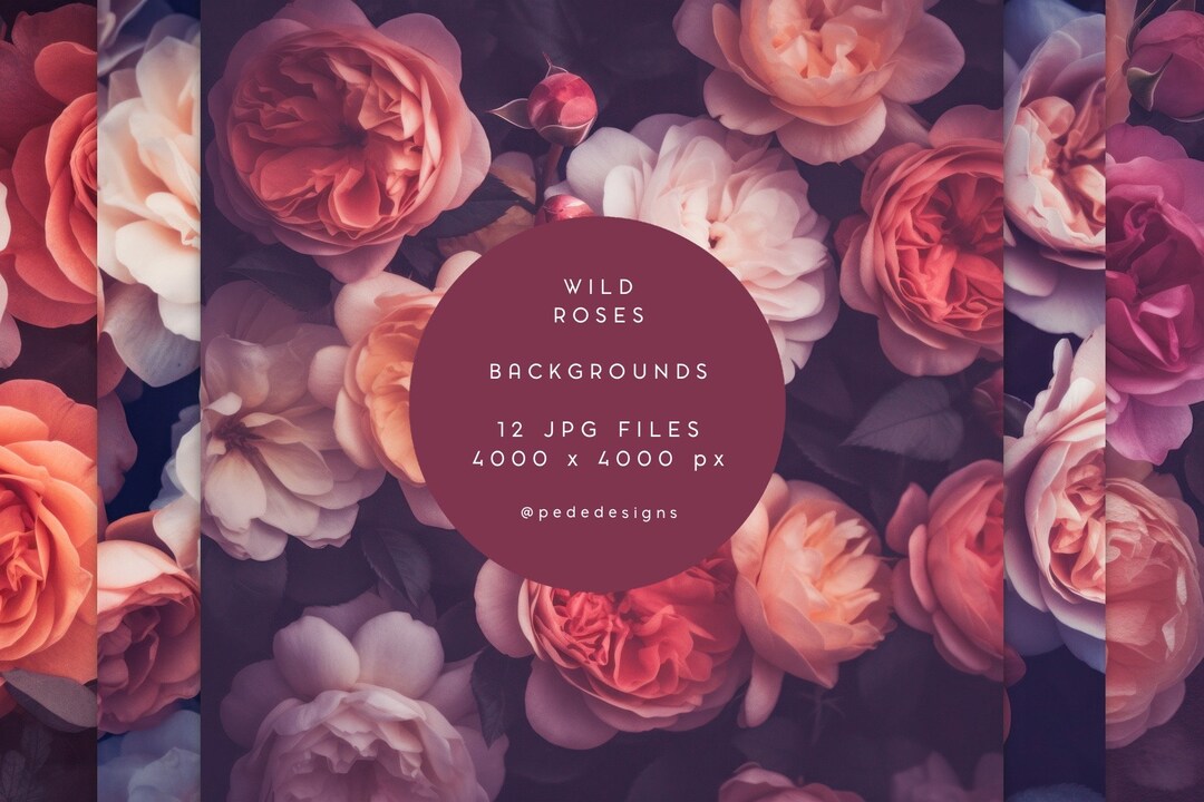 Wild Roses Backgrounds, Roses Backdrop, Rustic Flowers, Roses Wallpaper ...