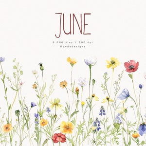 June, Summer Wildflowers, Watercolor Wild Floral Border, Watercolor ...