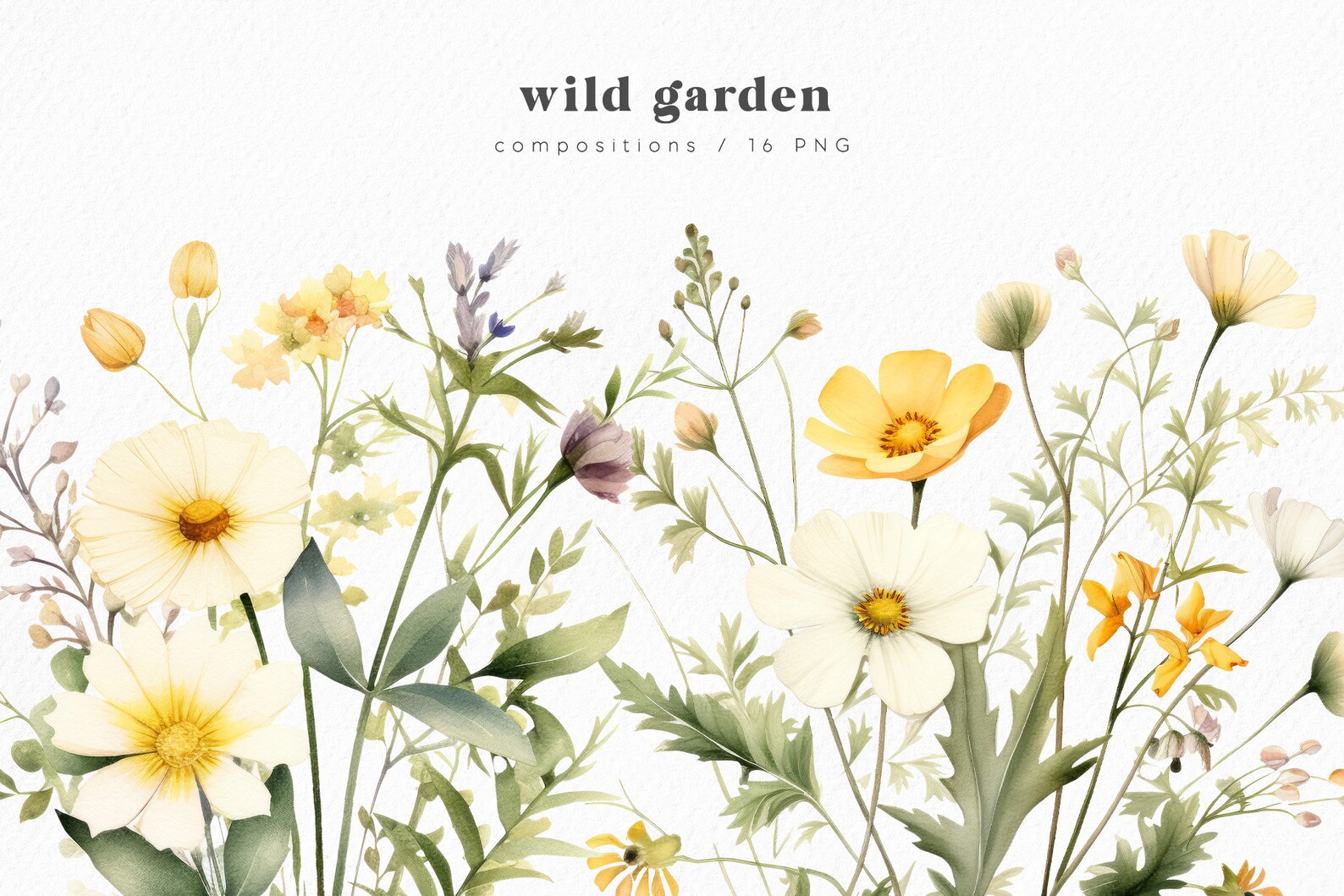 Watercolor Wild Flowers Clip Art Pack, Watercolor Garden Floral, Floral ...