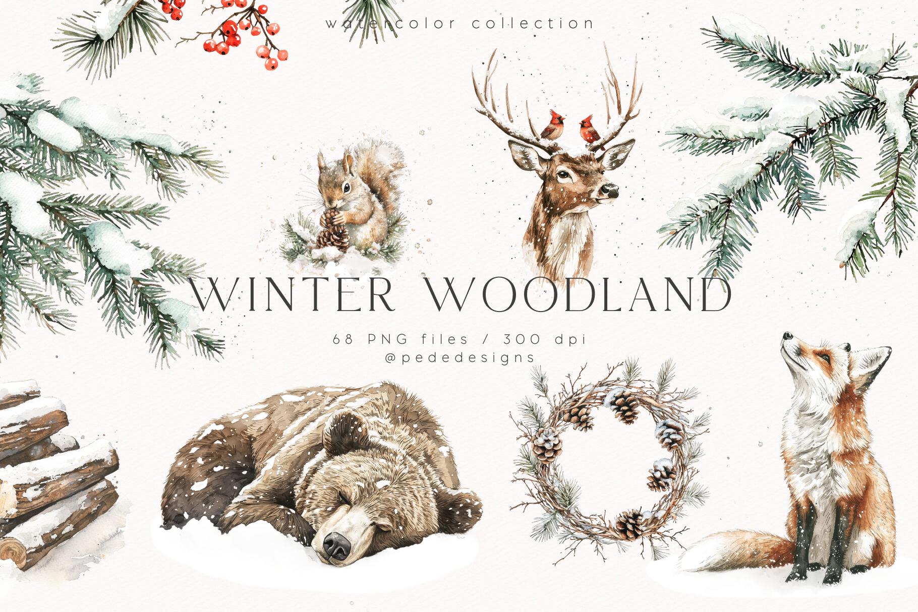Winter Woodland, Watercolor Winter Clipart, Winter Animals, Woodland ...