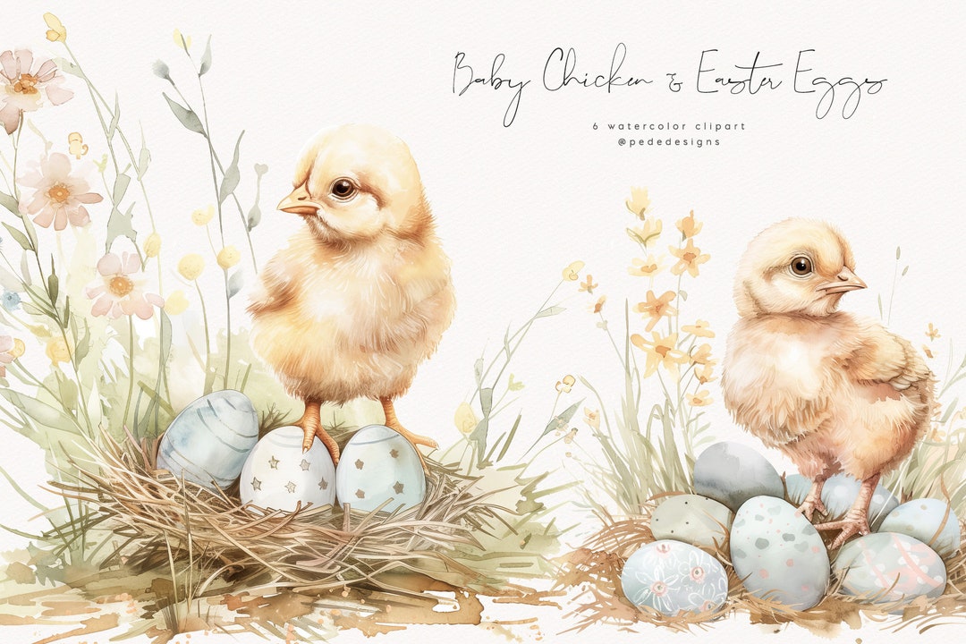 Baby Chicken & Easter Eggs Clipart, Watercolor Chicken, Spring Png ...