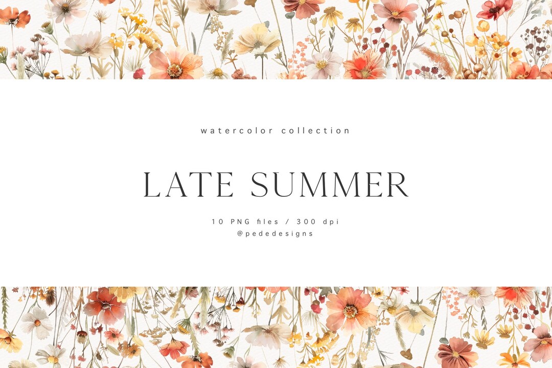 Late Summer, Watercolor Wild Flowers Clipart, Watercolor Meadow Border ...
